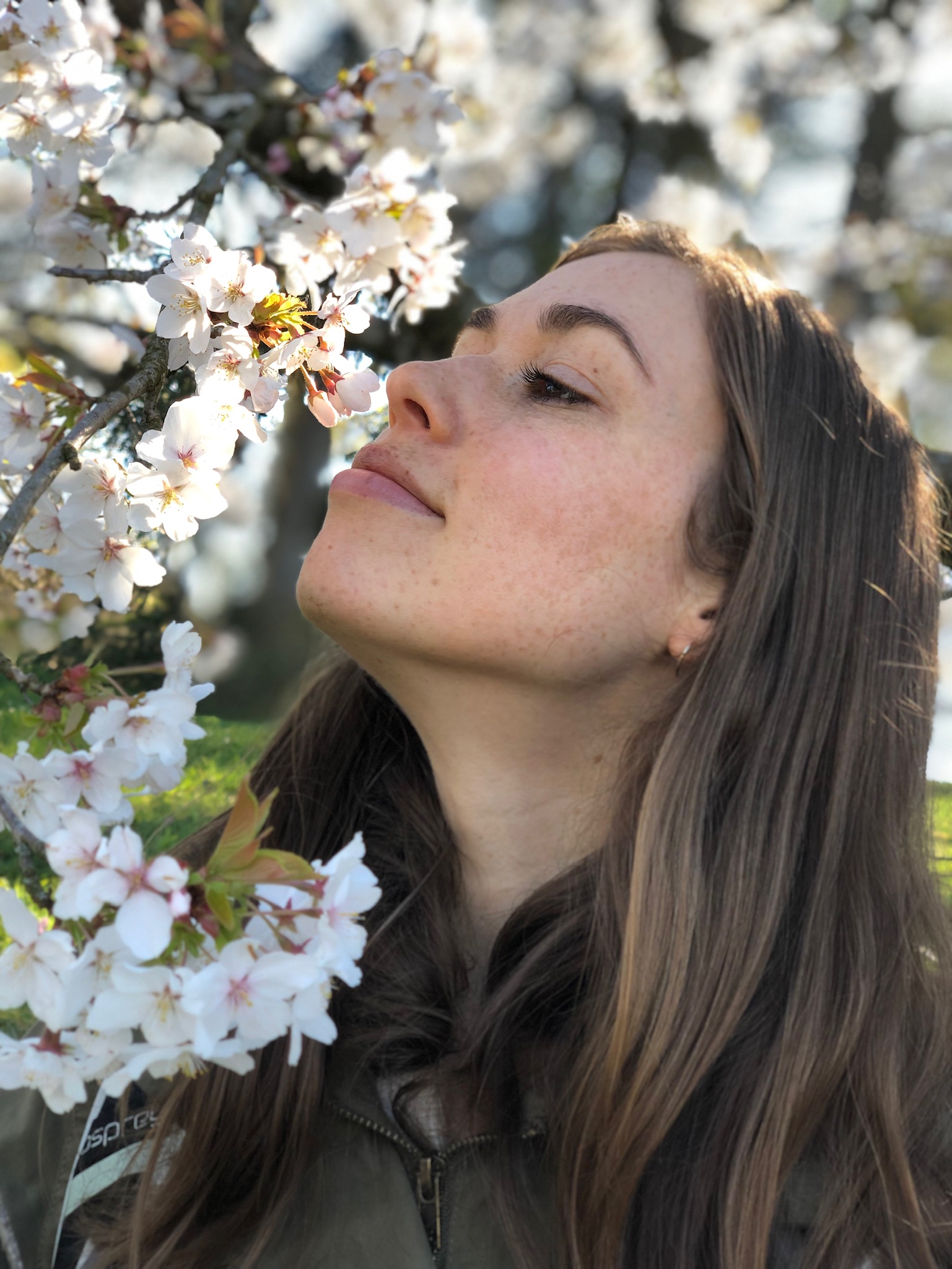Sweden and Spring | Sweden and Me